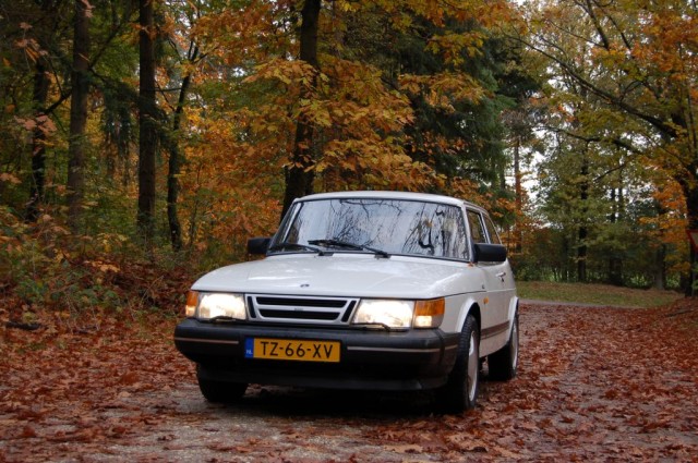 www.thomasvos.nl